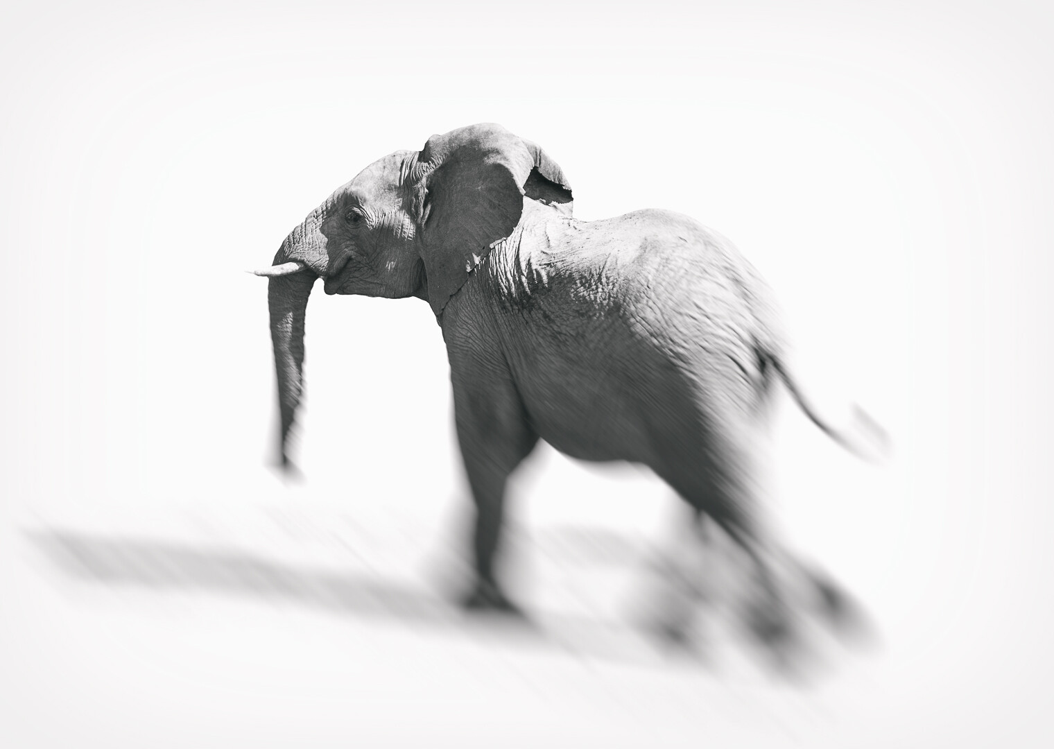 Prints Gallery - RAYMOND WRIGHT PHOTOGRAPHY