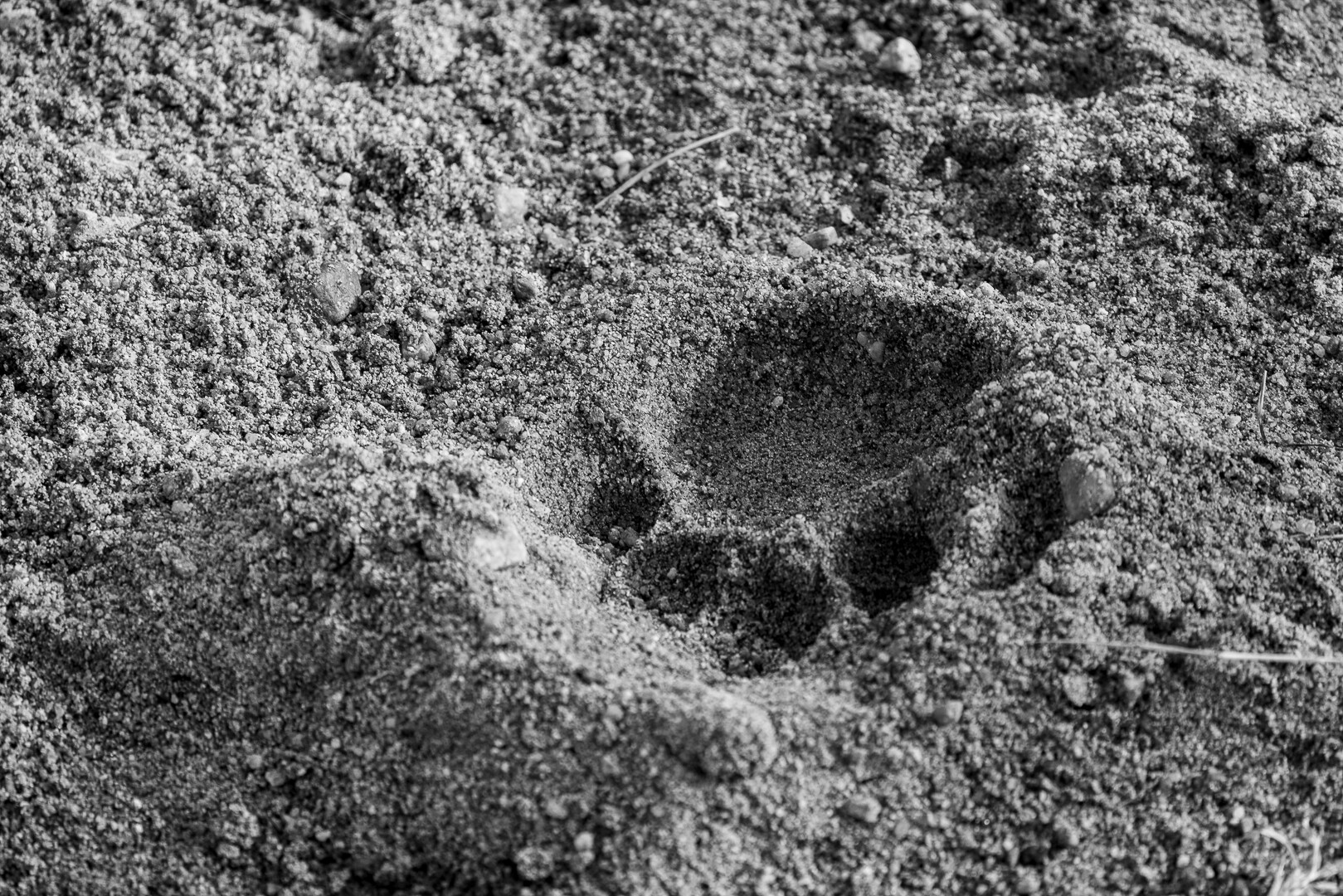 Prints Gallery - RAYMOND WRIGHT PHOTOGRAPHY