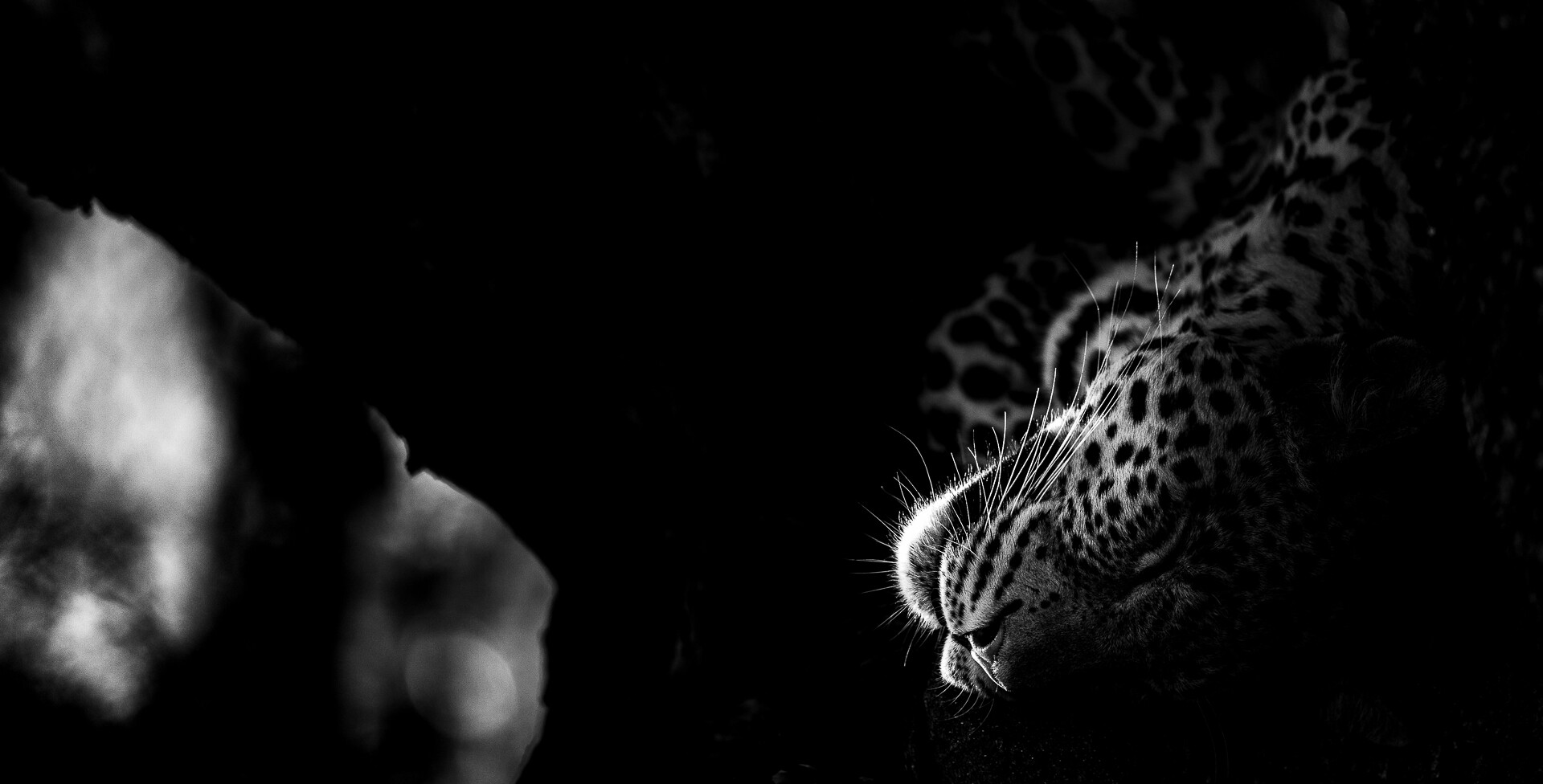 Prints Gallery - RAYMOND WRIGHT PHOTOGRAPHY