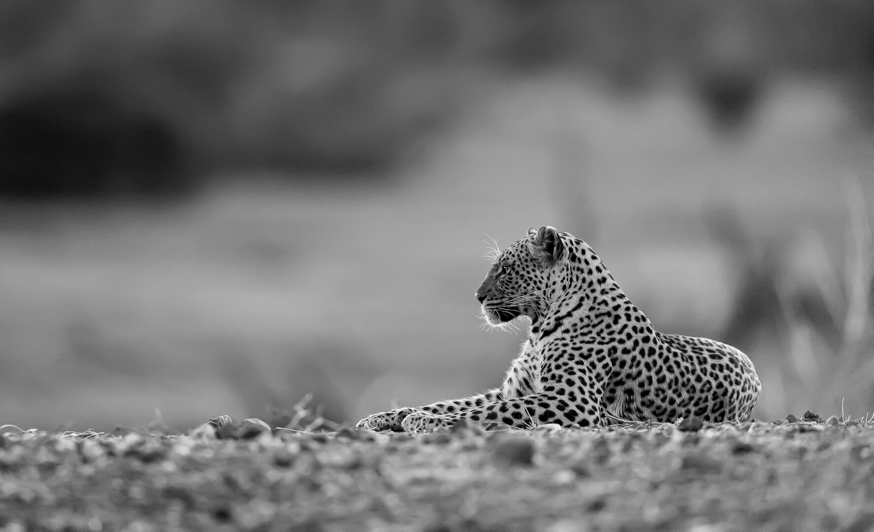 Prints Gallery - RAYMOND WRIGHT PHOTOGRAPHY